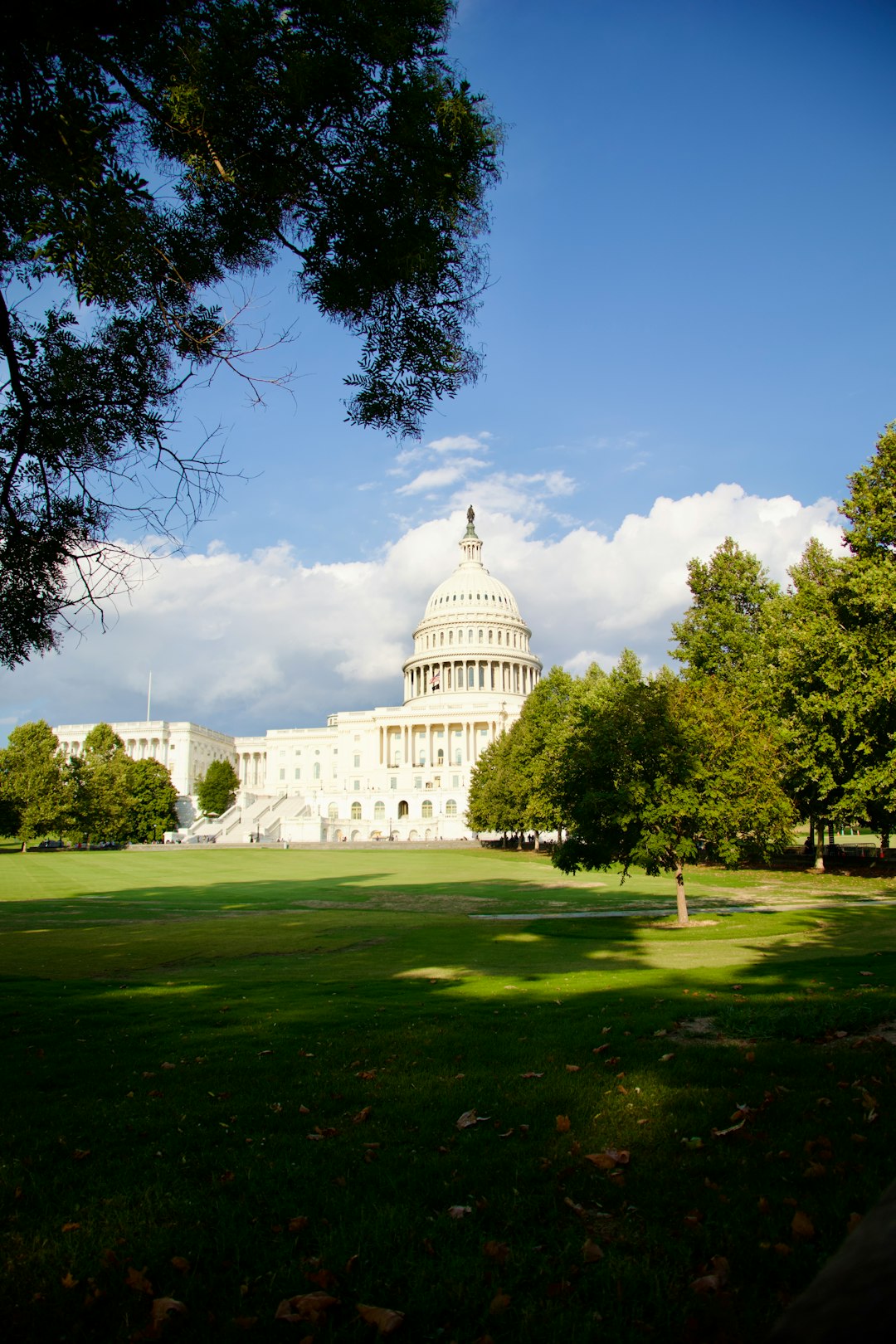 Grant Management Systems for Government Funding Programs - My WP Tips